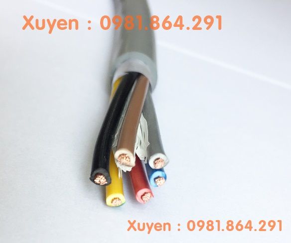 Cáp điều khiển RVV, RVVP Altek Kabel có đủ CO ,CQ giá sỉ, giá bán buôn - Thị Trường Sỉ